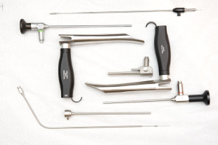 Ariel Laboratory Voice – Dr. Michal Icht