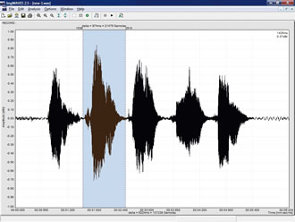 Ariel Laboratory Voice – Dr. Michal Icht