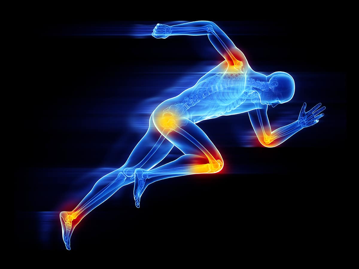 Sport Science M.S - Ariel University