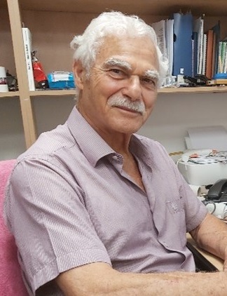 Mind over matter: Can virtual gestures induce hand movement? – הרשות ...